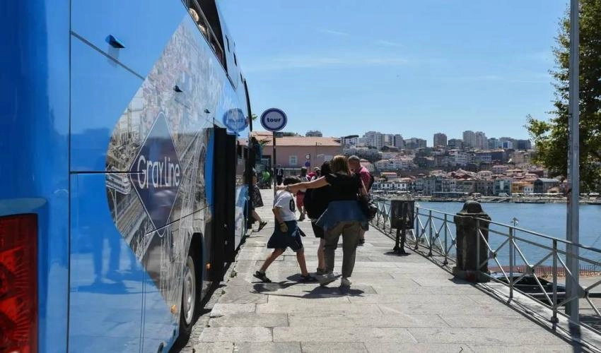 Gray Line: Porto Hop On Hop Off Bus Tour & Wine Cellars